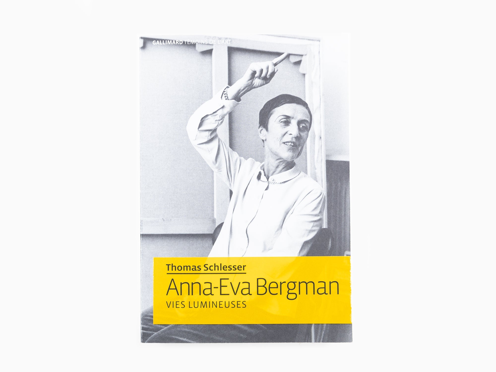 Thomas Schlesser - Anna-Eva Bergman, Vies Lumineuses - Perrotin PARIS