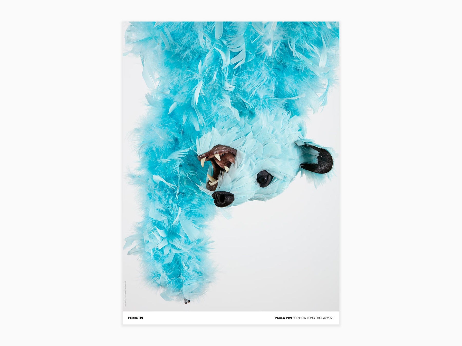 Paola Pivi - A beautiful photo of "?", 2023 - Perrotin PARIS